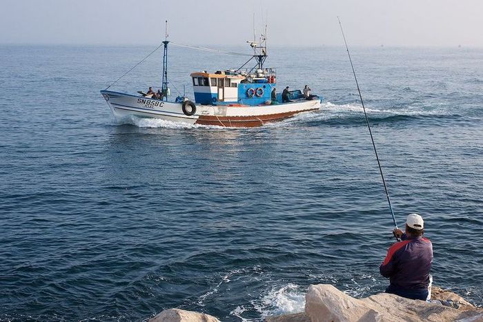 Key Differences betweem Saltwater and Freshwater Fishing | Guidesly