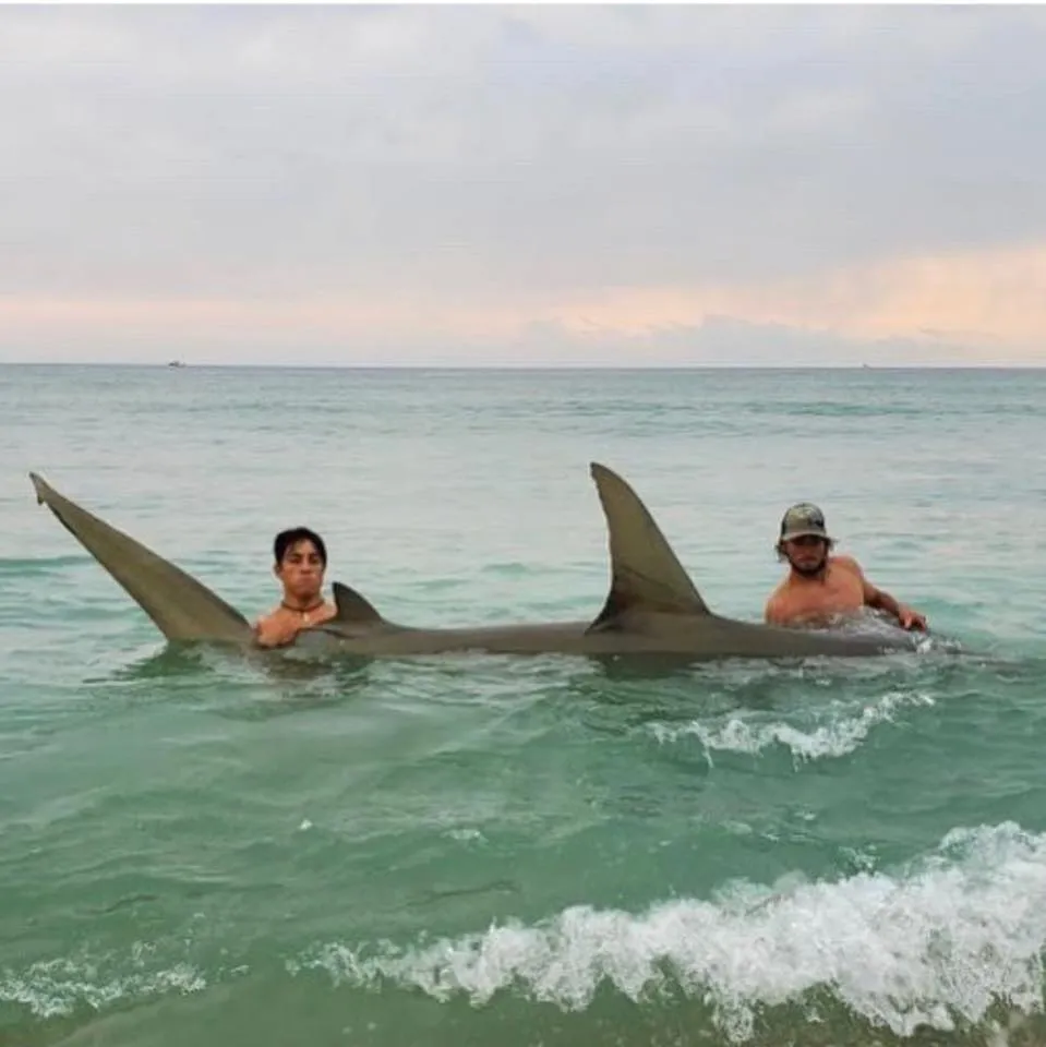 Meet Captain Jacob Barker: The fearless master of shark fishing!