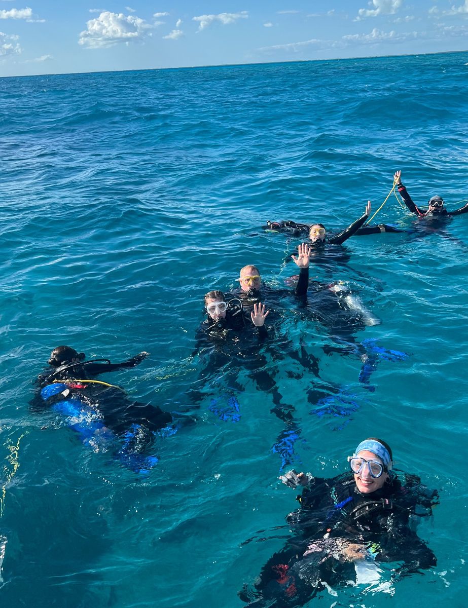 Checkout Dive Key Largo | Bluewater Divers