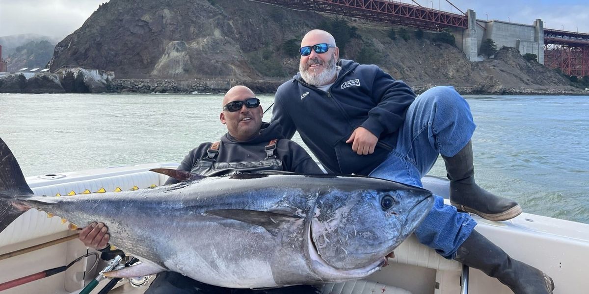 San Francisco Fish Species: Bay Area's Finest!