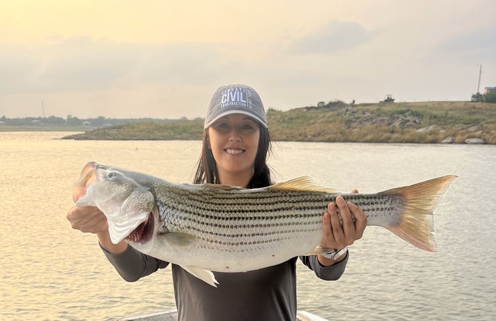 Fish Species: Guide to Catching Bass Fish in Lake Buchanan