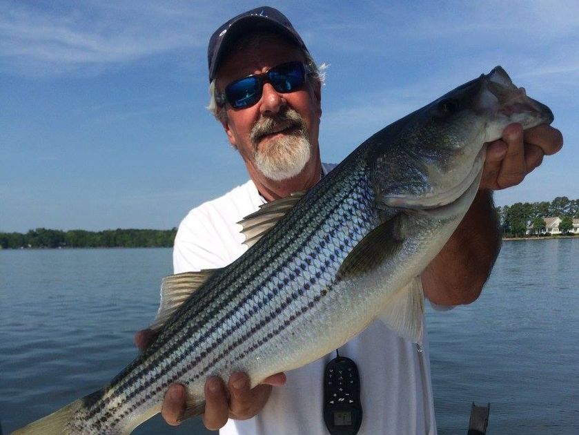 Captain Terry Caulder: Lake Murray, SC Fishing Pro!