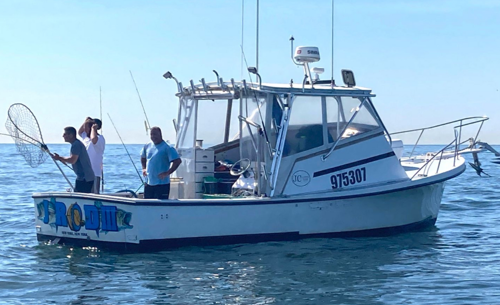Introducing the Sea's Expert: Explore the World of Captain Jared
