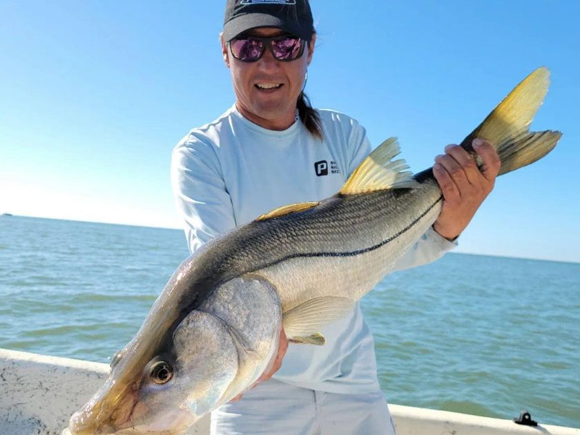 Meet the Fearless Captain Marrio, Crystal River's Hidden Gem!