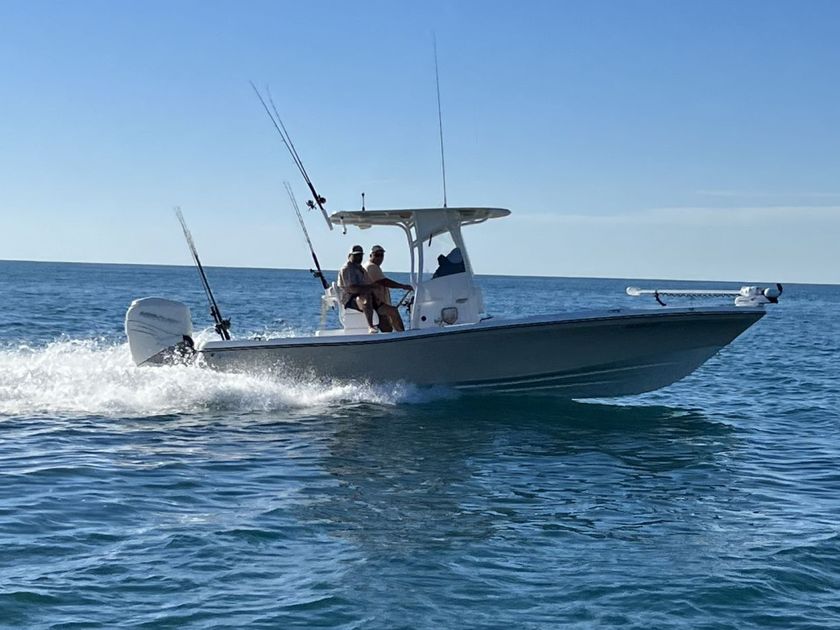 Meet sea expert Captain Wayne Freeman!