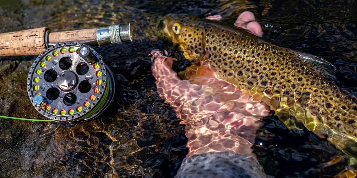 Sebago Lake Fishing & Hunting Reports | Guidesofmaine