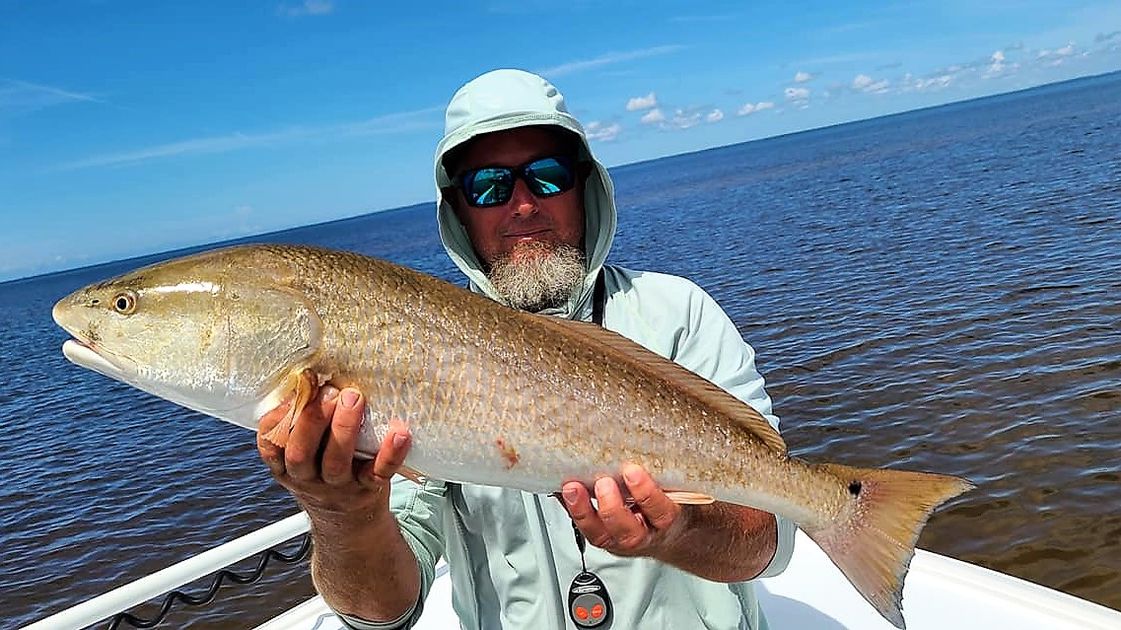 Boca Grande Fish Species Guide | What You Can Catch