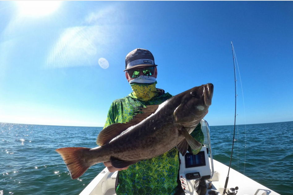 Must-catch fish species in Florida.