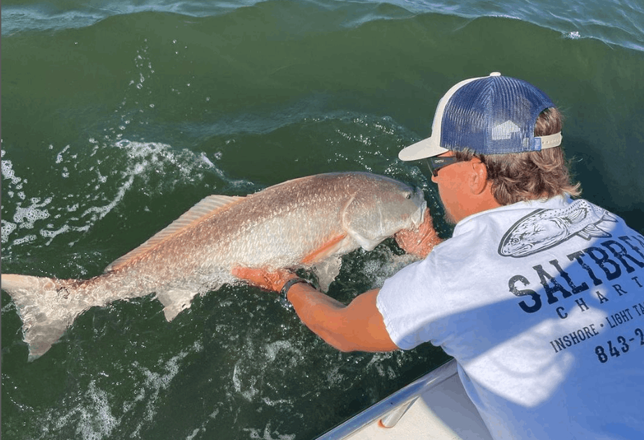 Find Charleston, SC Fish Species with Saltbreak Charters