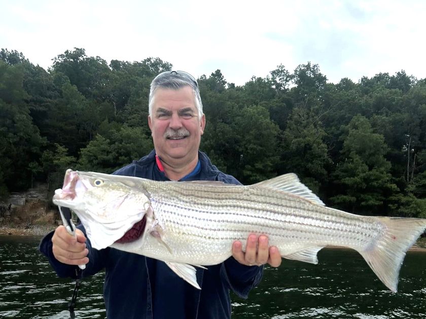 Why Customers Are Raving About Fishing at Beaver Lake