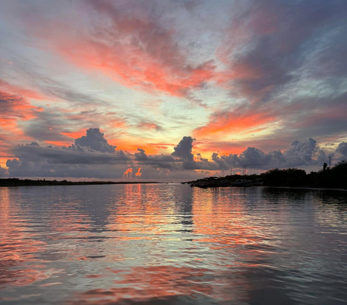 Find out which Port Isabel fish you need to catch!