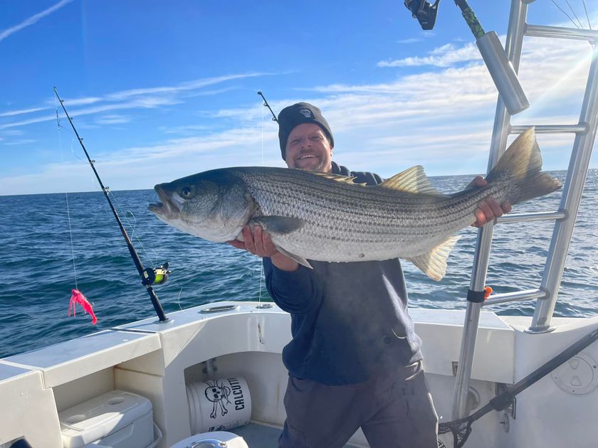 Lewes Fishing Reports | Bottomline-sportfishing