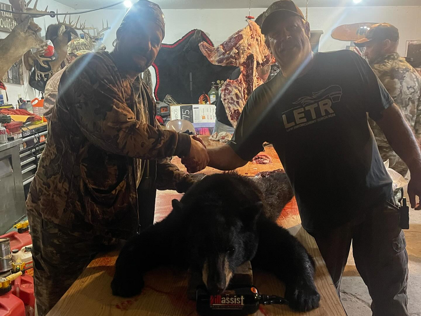 The Ultimate Guide To Successful Bear Hunting In Minnesota