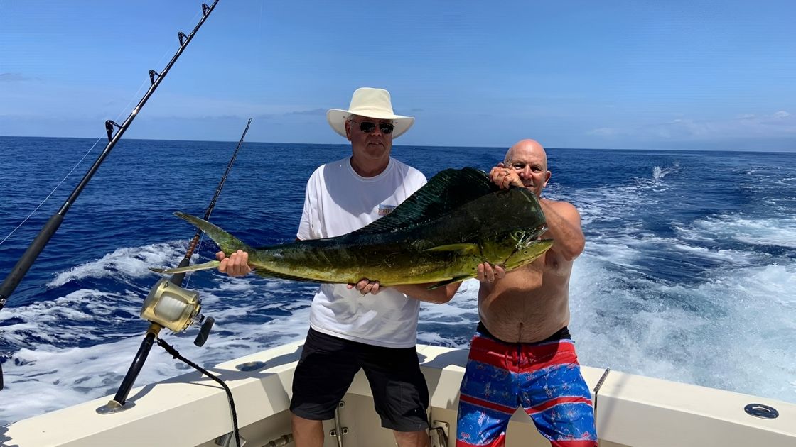 Kona Fishing Charters Report | Kailua-Kona Fishing Updates