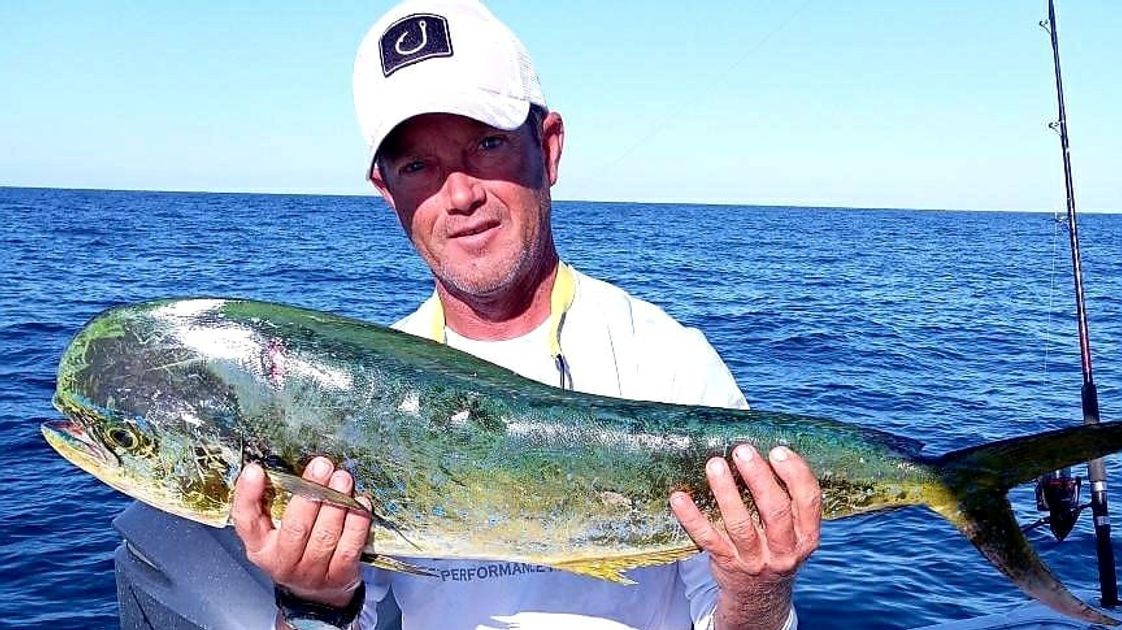 Calabash Fish Fiesta: Discover the Species!