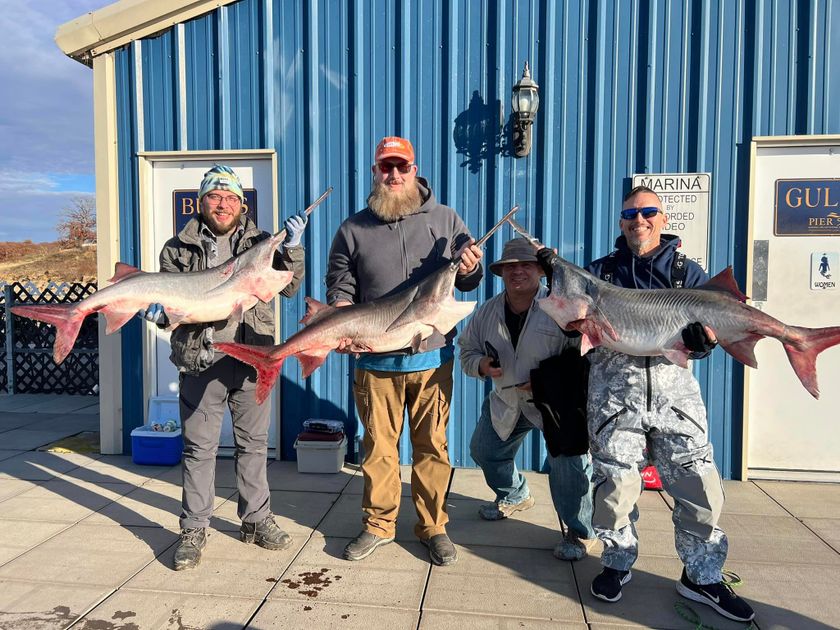Oklahoma Fish Species Guide | What You Can Catch