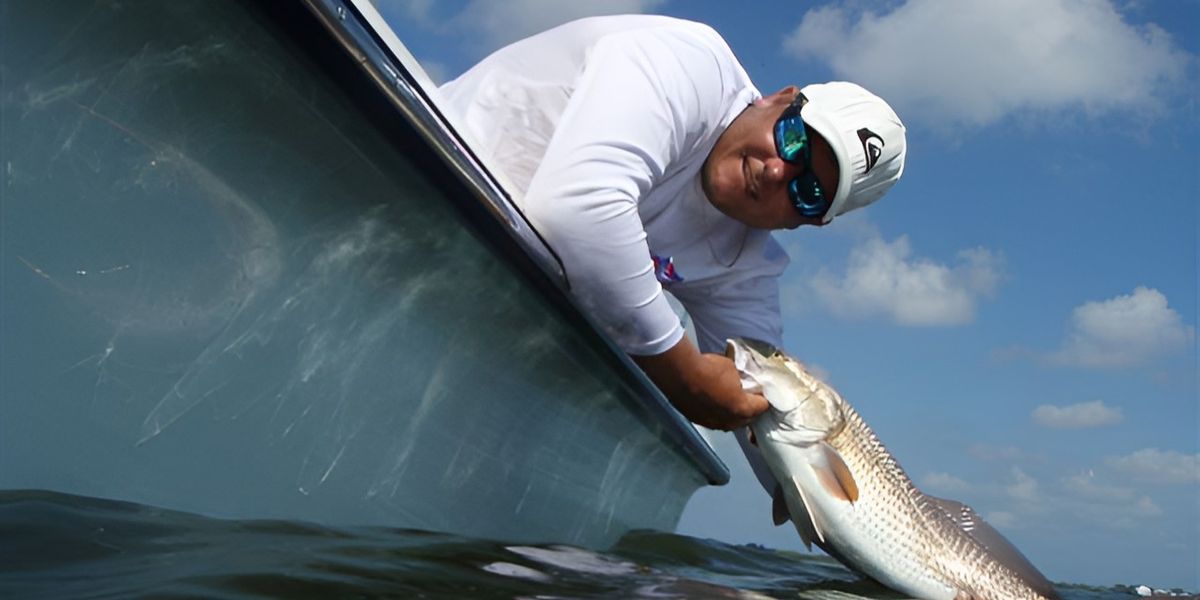 Dooley Charters Catch Updates and Reports