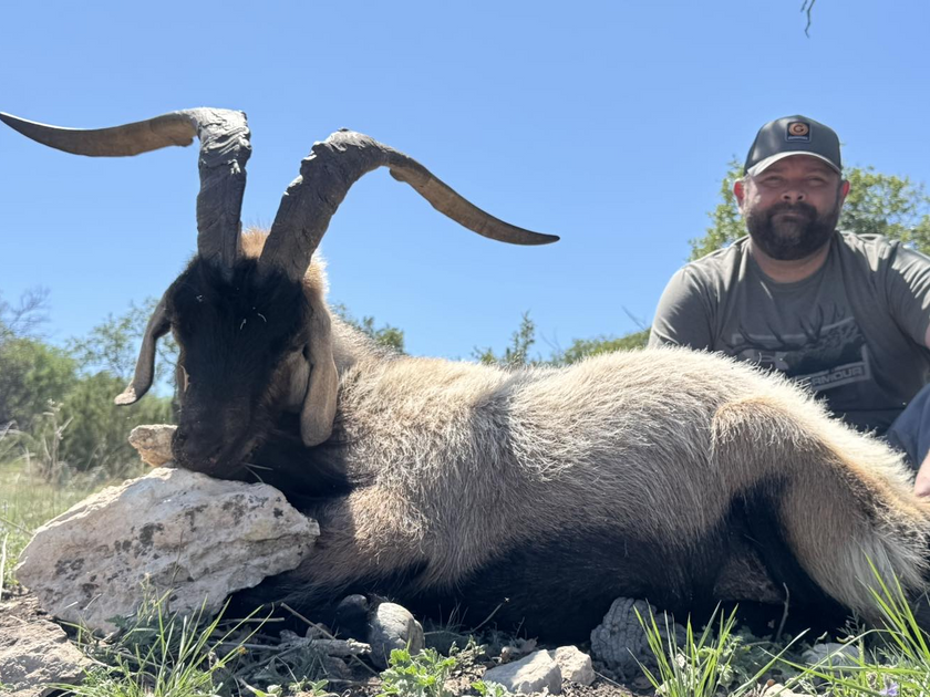 Waterbuck Hunts Texas | Guided West Texas Exotic Hunting Trip