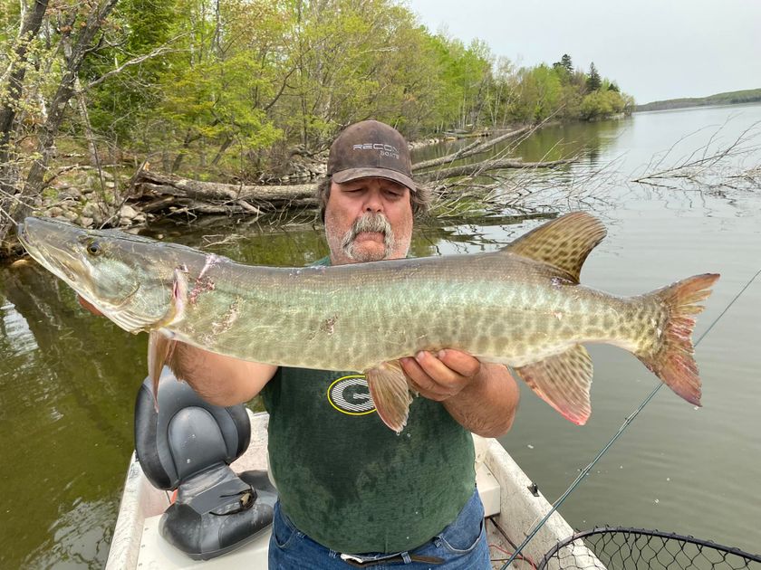 Meet Captain Mark Curtis, Your Guide for Curtis Guide Service