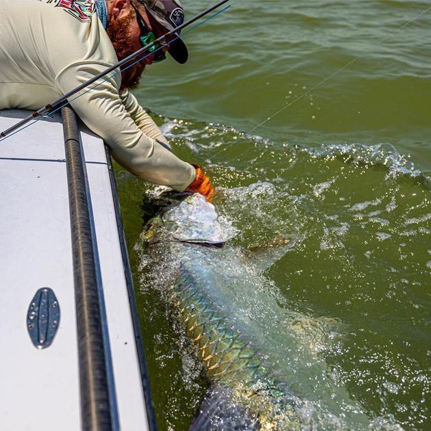 Captain Mark Cherney: Your Expert Guide in Everglades Fishing