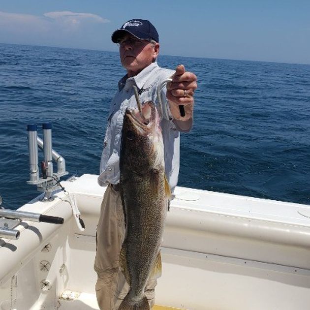 Captain Bob Robbins: Port Clinton's Fishing Maestro!