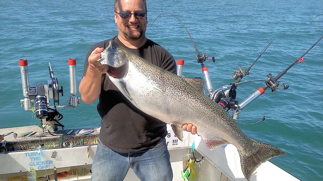 Unveiling Lake Ontario's Diverse Fish Species