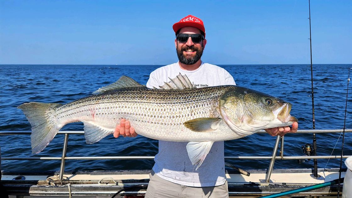 Rye Fishing | Tontine Fishing Charters