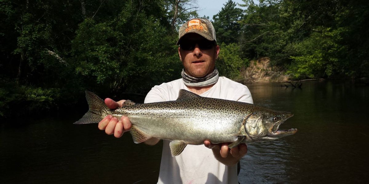 Michigan Fish Species | What to Catch in Lakes & Rivers