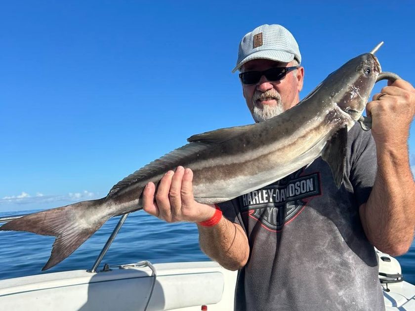 Fish Species in Port Orange, FL | Top Notch Adventures Guide