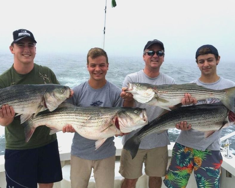 Cape Cod Fish Species | Grey Dolphin Sportfishing Charters