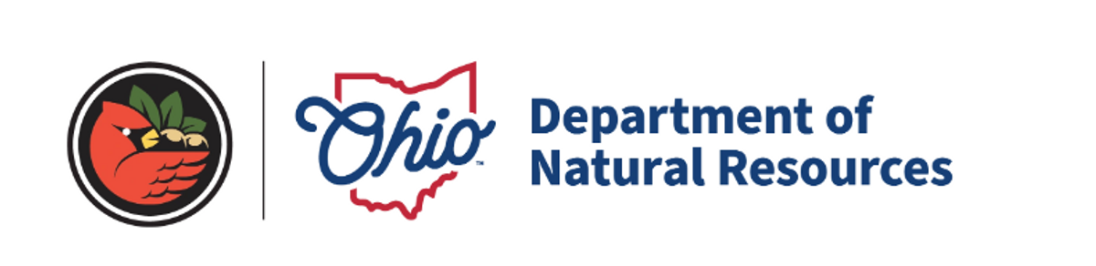 Ohio Fishing License Guide – How to Get Yours Today