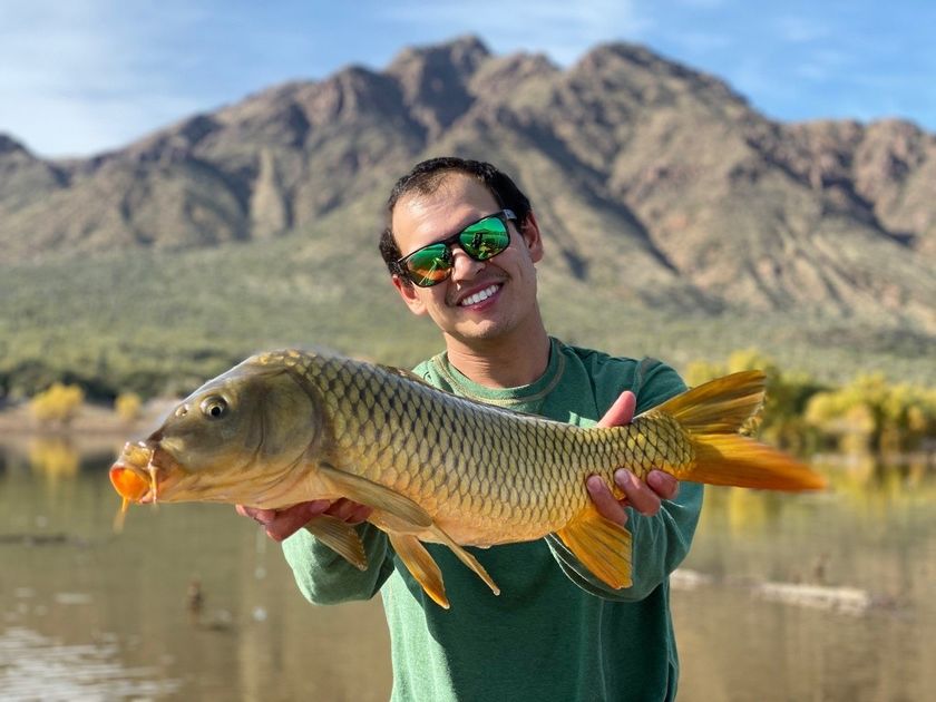 Top-Rated Lake Pleasant Carp Flats Fishing Trip