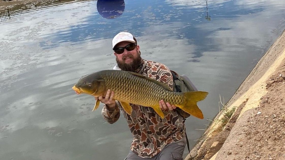 Phoenix Canal Carp Fly Fishing Trips | Lo Water Guide