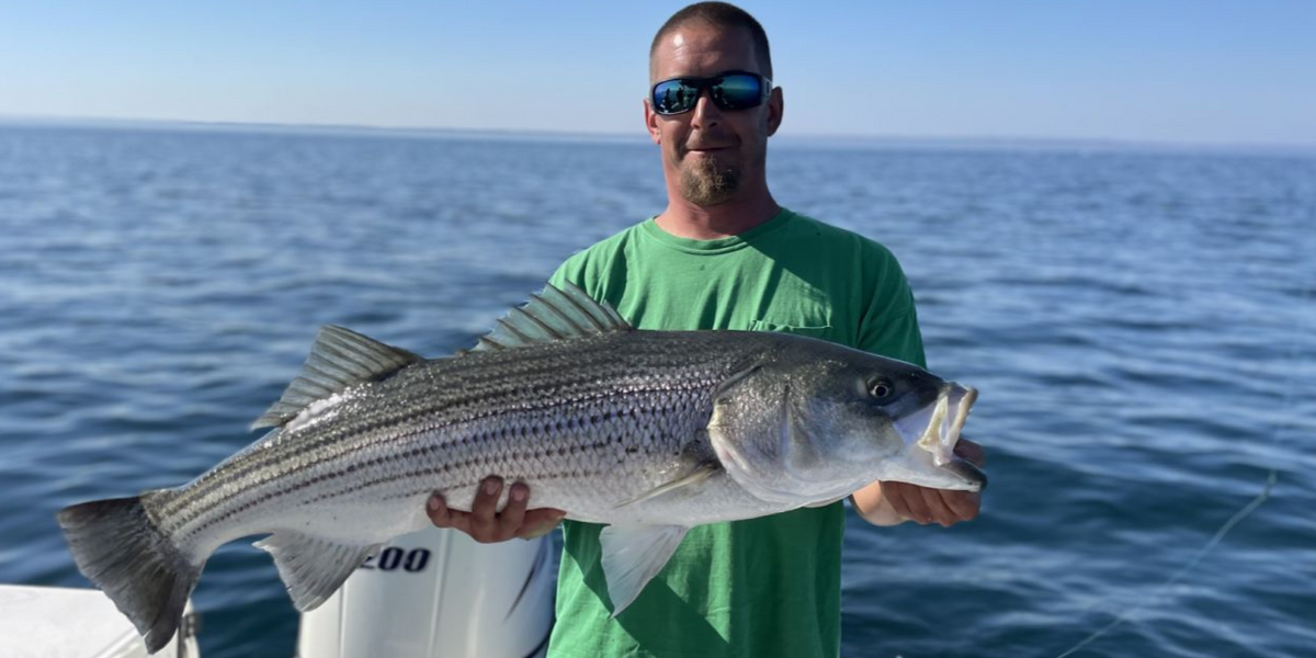 Top-Rated Full Day Fishing on Cape Cod Bay | 6 Species