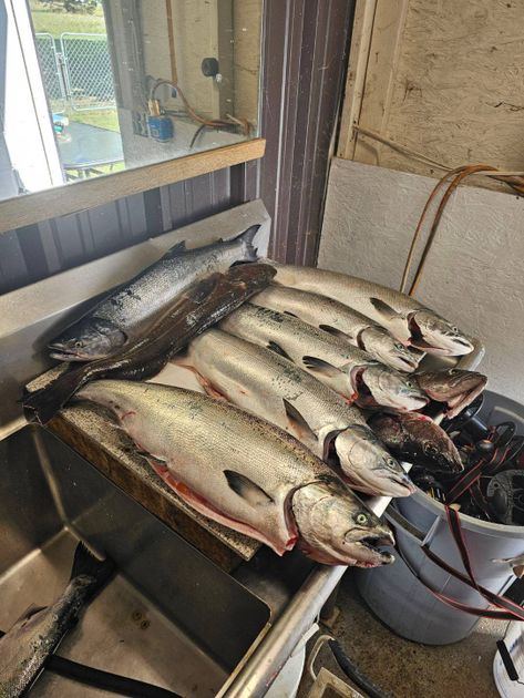 Oregon Coast Fishing Photos So Captivating And Unique
