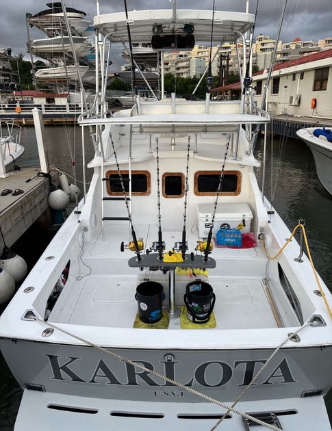 The Magic Of Fajardo Fishing Charters Through Impressive Image