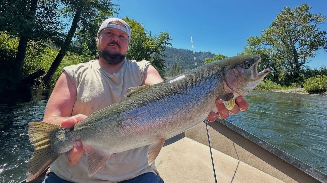 Trinity River Steelhead Fishing Guide | TNT Sport Fishing