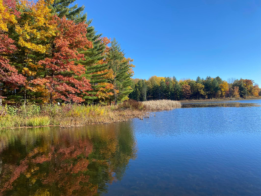 Uncover 5 Unique Activities To Enjoy In Hale, Michigan