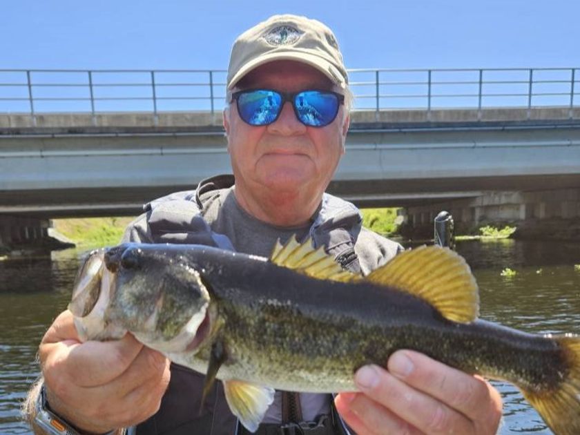 Expert-Guided Peacock Bass Fishing Trip | Everglades