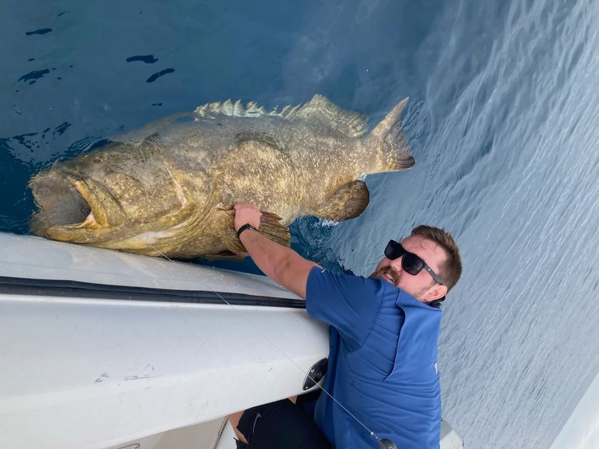 Goliath Grouper Fishing in Florida – Top Notch Wreck Fishing