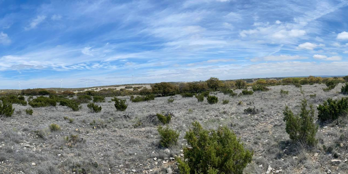 Top-Rated Impala Hunting Trips in West Texas
