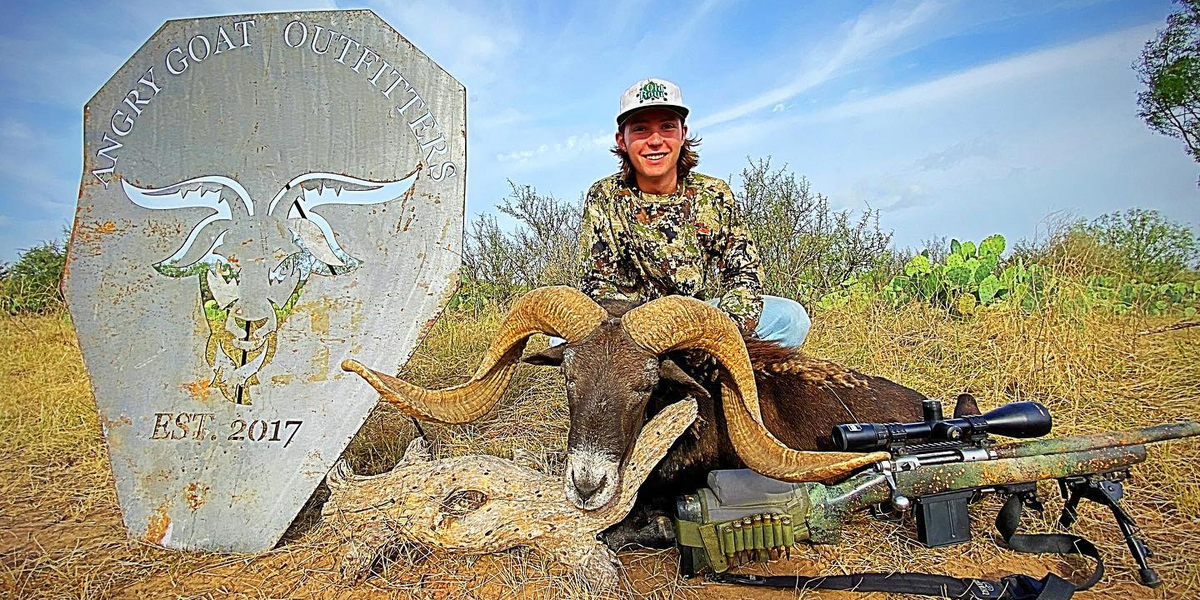 Premium Black Hawaiian Ram Hunts in West Texas