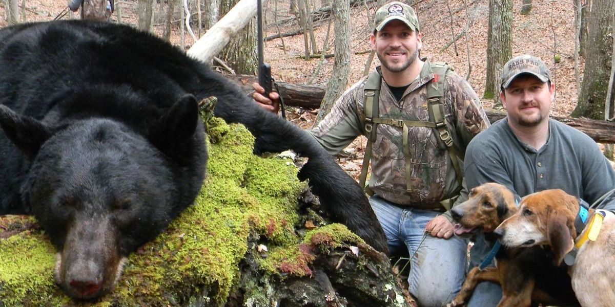 World-Class Virginia Bear Hunting Trip | Killer Outfitting