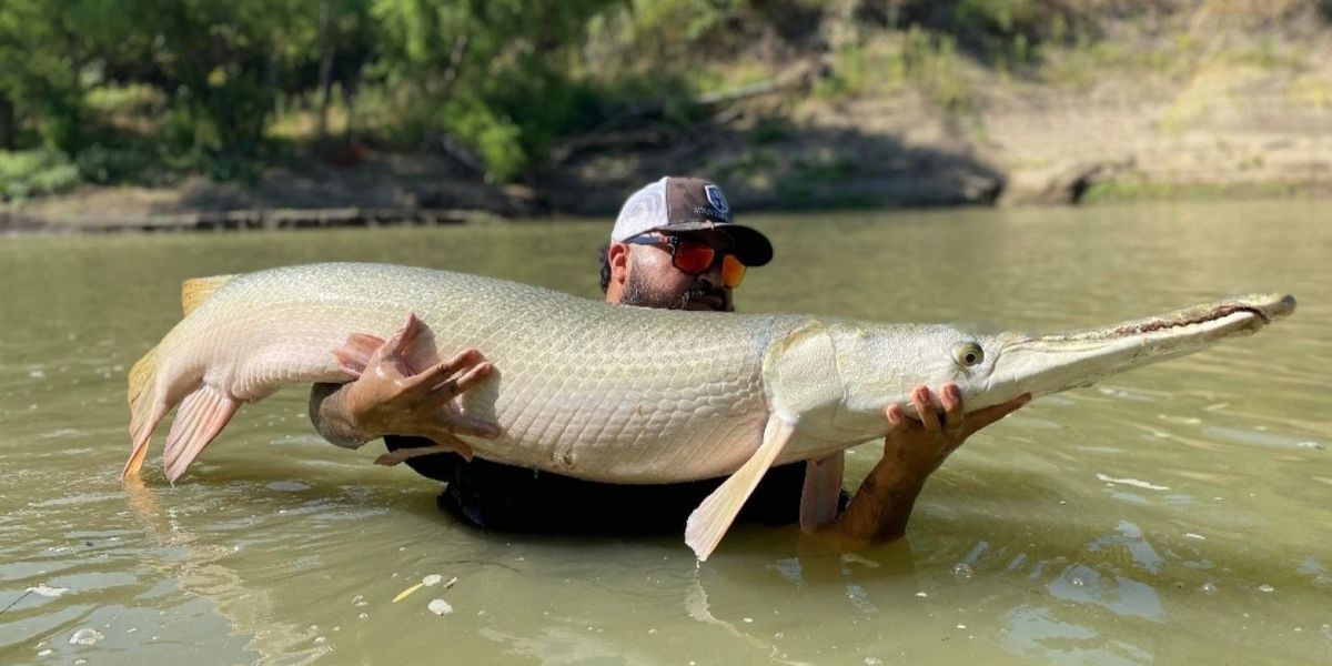 Trinity River Alligator Gar: 8-Hour Guided Fishing Trip