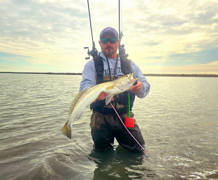 Wade Fishing in Port Aransas | Trophy Trout & Redfish