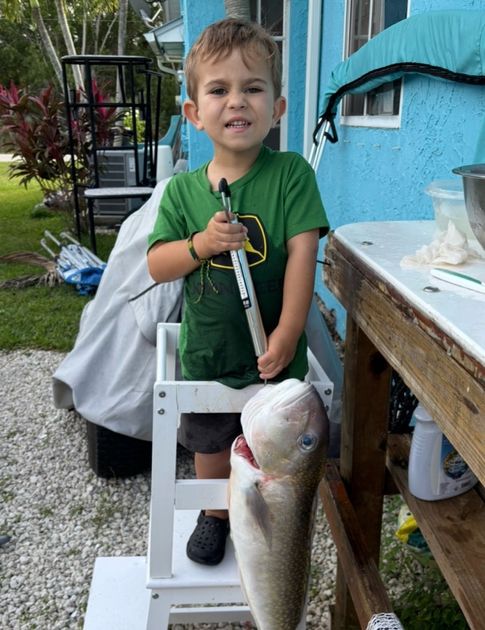 Discover the Species: Stuart Fishing Charters