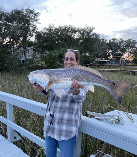 Tybee Island Fishing Charters Gallery