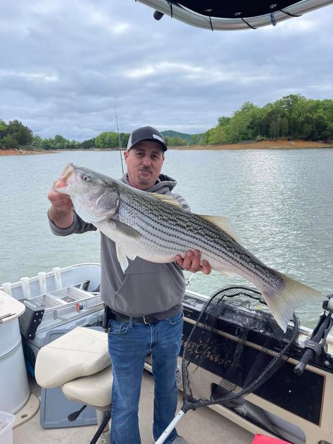 Dive Into the Beauty of Cherokee Lake with These Fishy Photos!