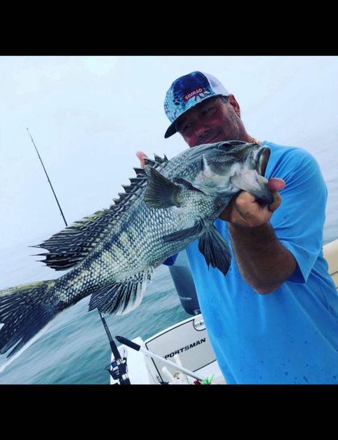 Cape Cod Black Sea Bass Charter | 4-6 Hour Trip