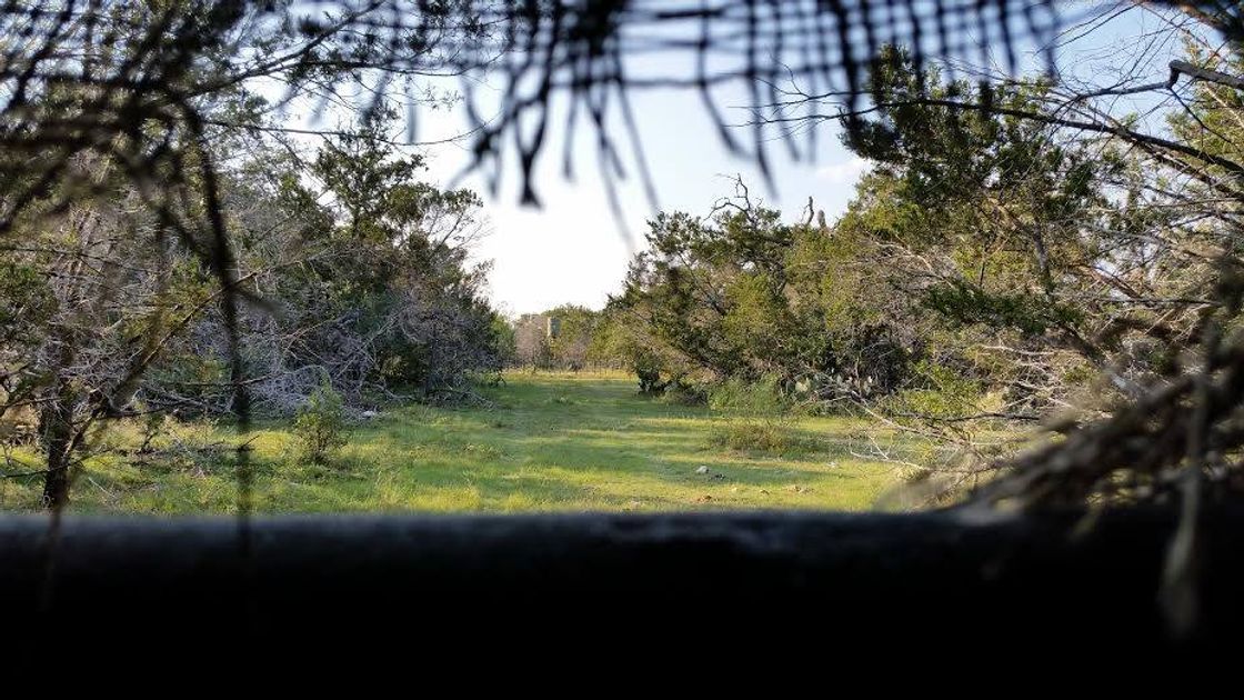 Elite Corsican Ram Hunt | ATX Outfitters Texas